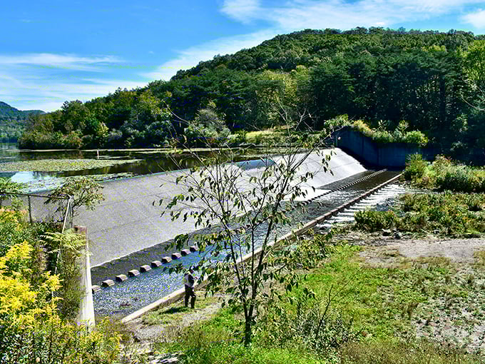 Engineering meets nature at the park's spillway. This concrete structure manages water flow while providing an unexpected spot for contemplative moments.