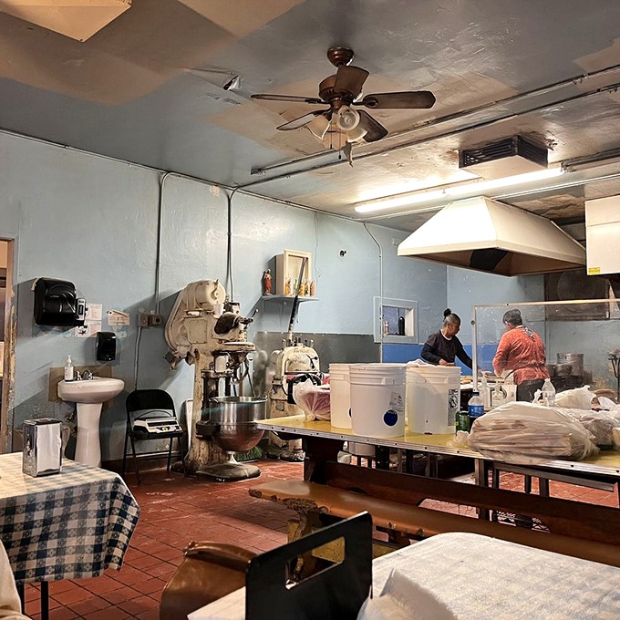 The kitchen at Las Cuatro Milpas isn't designed for show—it's a workshop where culinary magic happens daily with practiced hands and zero pretension.