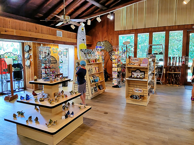 The gift shop: where you can take home a piece of Rainbow Springs without disturbing a single leaf. Souvenirs with purpose!