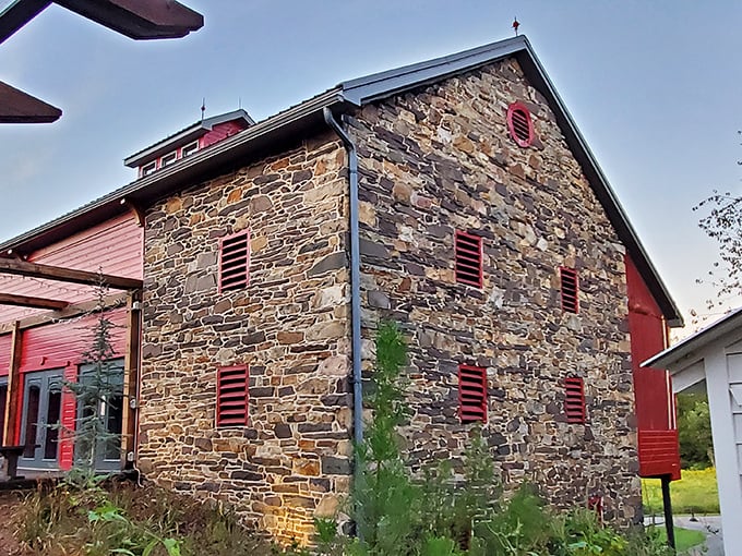 The Stone Barn stands as a testament to Pennsylvania's architectural heritage, its sturdy walls and red accents capturing centuries of stories without admission fees.