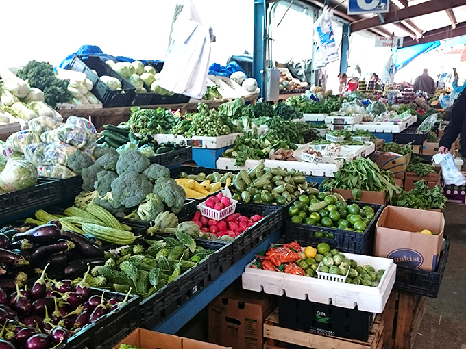 Nature's color palette on full display—vegetables so fresh and vibrant they make grocery store produce look like it needs a nap.