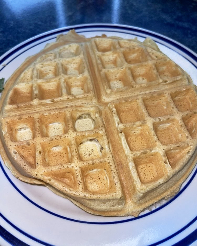 A waffle that's lived a full life—golden, crisp, and ready for its close-up. The perfect canvas for sweet morning indulgence.