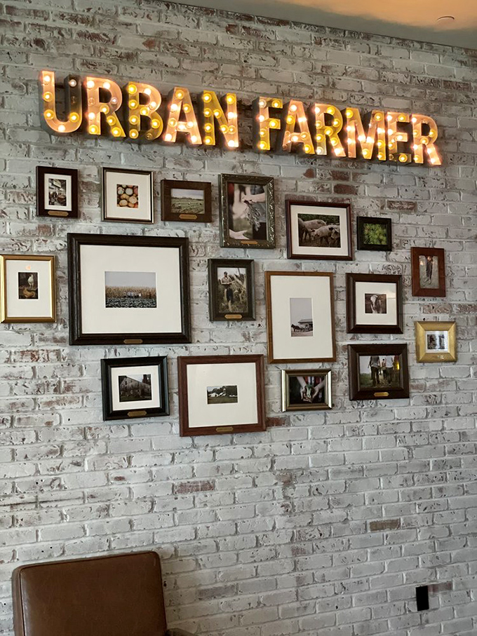 Not just decoration—this wall tells the story of agricultural heritage with vintage photographs beneath the glow of marquee lighting.