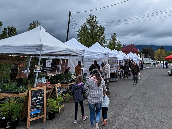 Farmers' market under moody skies—where shopping local means standing in the shadow of mountains. Talk about atmosphere!