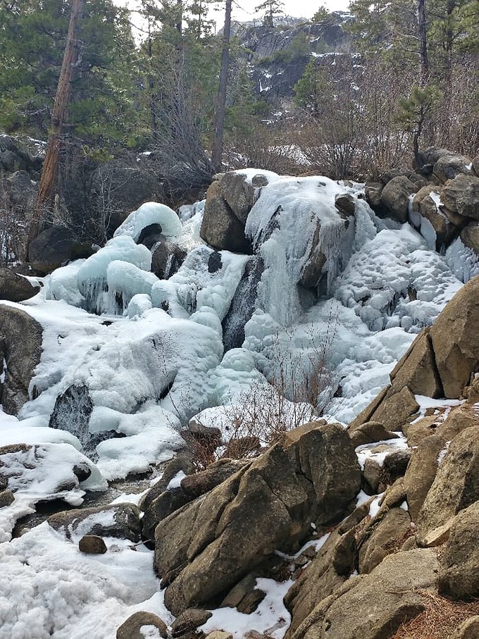 Winter's artistic side on full display. The waterfall transforms into a breathtaking ice sculpture during colder months, proving nature is the original installation artist.