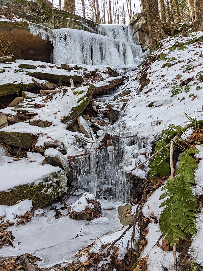 Winter transforms the falls into a frozen sculpture garden, where water pauses mid-journey, as if time itself needed a moment to appreciate the view.