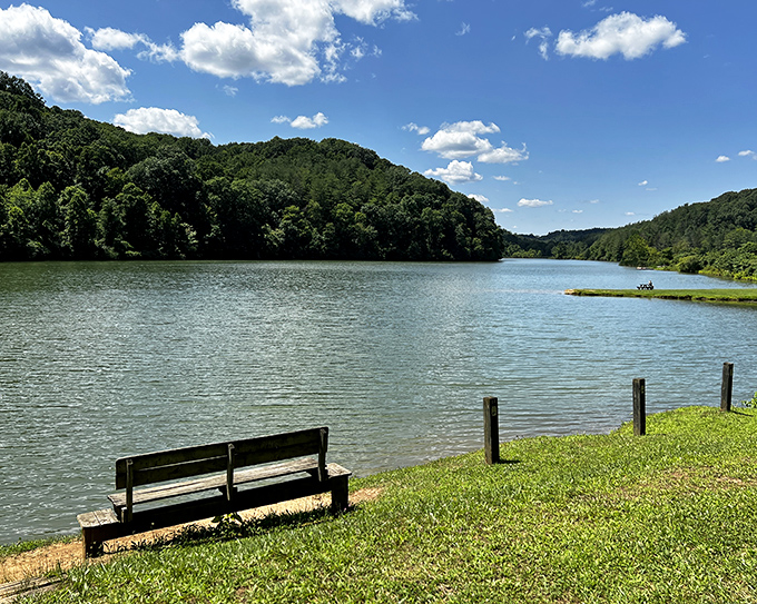This lakeside bench isn't just furniture—it's front-row seating to nature's most reliable show, running daily since the Ice Age.