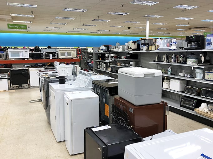 The appliance section – where refrigerators and washing machines get their second act after their Broadway debut in someone else's kitchen.
