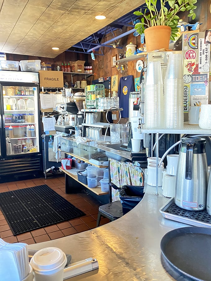 The coffee station—where morning magic begins. Simple, efficient, and ready to transform sleepy humans into functioning members of society.
