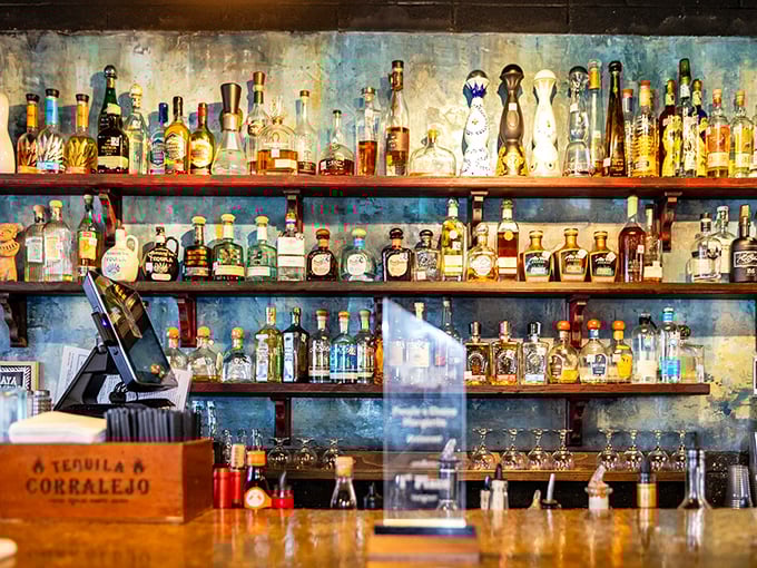 Tequila library meets art gallery. This bar doesn't just serve drinks—it showcases liquid amber treasures against a backdrop of coastal blue.
