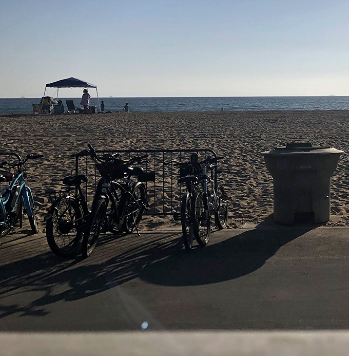 Bikes patiently waiting while their owners indulge. The perfect post-ride reward system – pedal along the coast, then refuel with Sea Salt's legendary offerings.