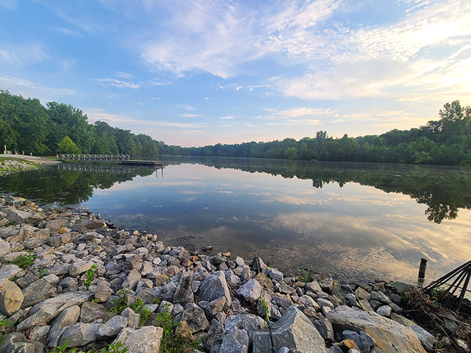 Dawn's golden light transforms Beall Woods' lake into liquid amber. Serenity doesn't get more picture-perfect than this.