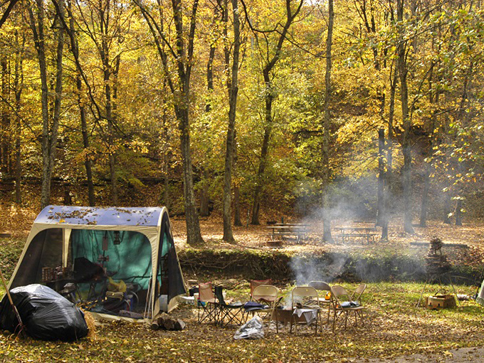 Fall camping at its finest—golden leaves, smoky campfires, and that perfect chill that makes your sleeping bag feel like luxury.