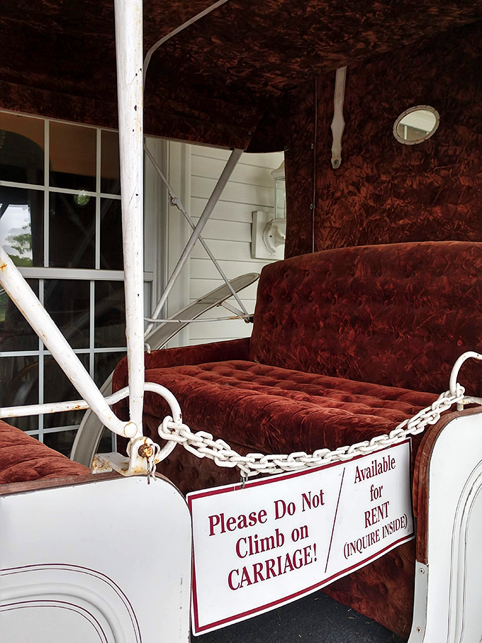 Not just decoration – this carriage offers rides! Nothing says "I'm embracing the Amish experience" quite like clip-clopping through Wilmot after dessert.