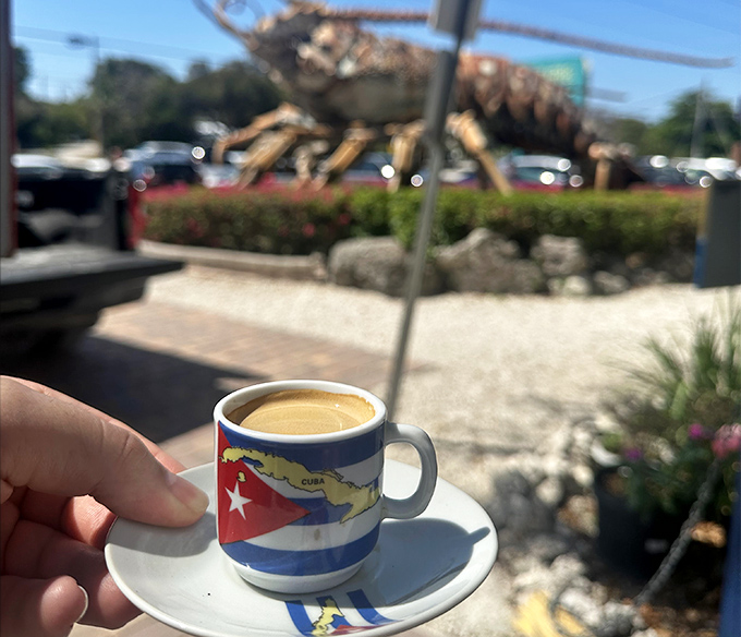 The Rain Barrel complex houses the famous lobster, with vintage vehicles and weathered wood creating that authentic Keys atmosphere visitors crave.