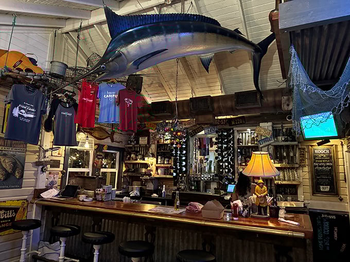 The marlin watching over the bar seems to approve of your drink order while silently judging those who ask for frozen daiquiris.