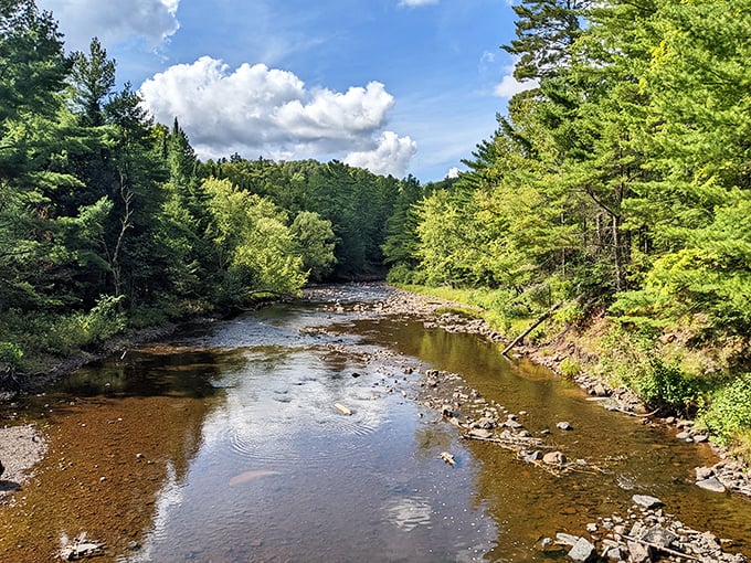 The river runs clear enough to count pebbles on the bottom, carrying stories from deep in the Northwoods to places we'll never see.