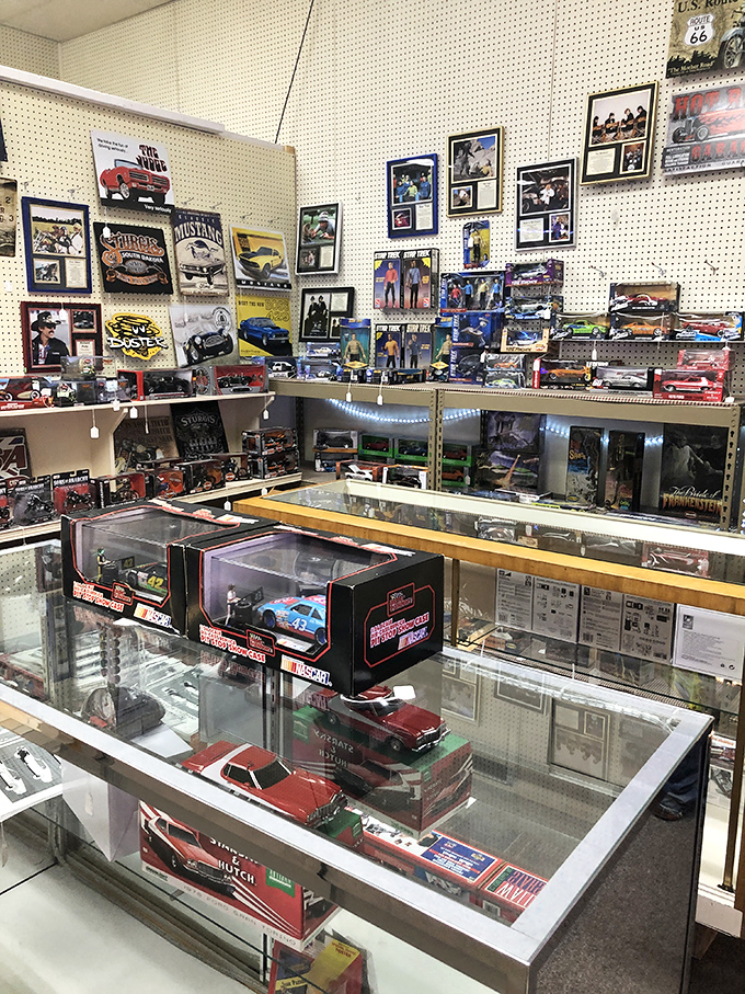 Die-cast dreams and miniature memories—this collection of model cars would make any automotive enthusiast's heart race faster than a Mustang.