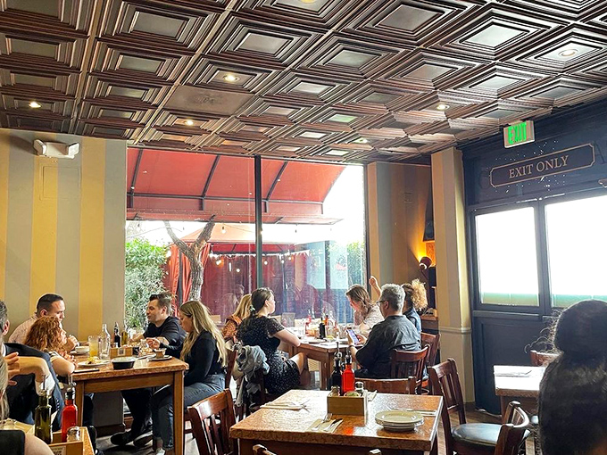 The dining room hums with the universal language of good food—forks twirling, glasses clinking, and the occasional "mmm" that needs no translation.
