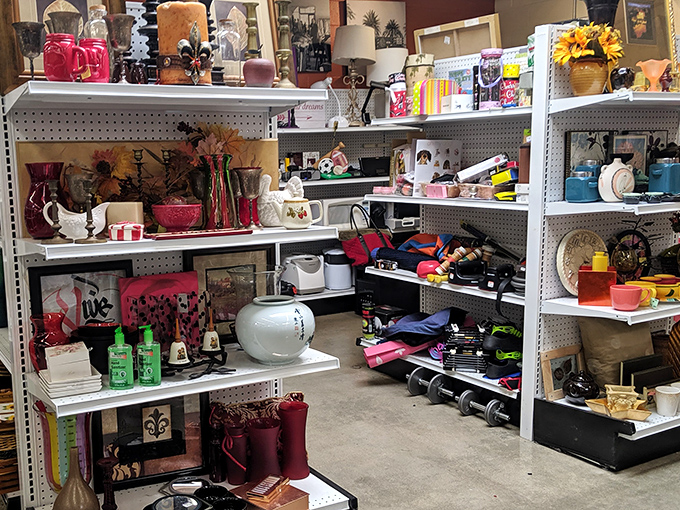 Shelves of organized chaos showcase everything from teapots to figurines – each item a conversation starter waiting to happen.