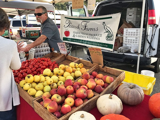 The farmers market showcases nature's candy store—where peaches blush and apples shine without needing Instagram filters.