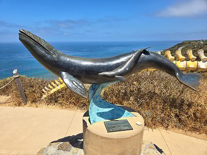 A gray whale sculpture commemorates the annual migration visible from Point Loma. Nature's greatest road trip happens just offshore.