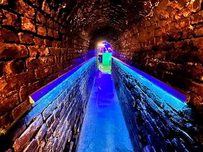 Not just a hallway—a time tunnel carved through limestone, leading adventurous souls deeper into Missouri's most atmospheric drinking den.