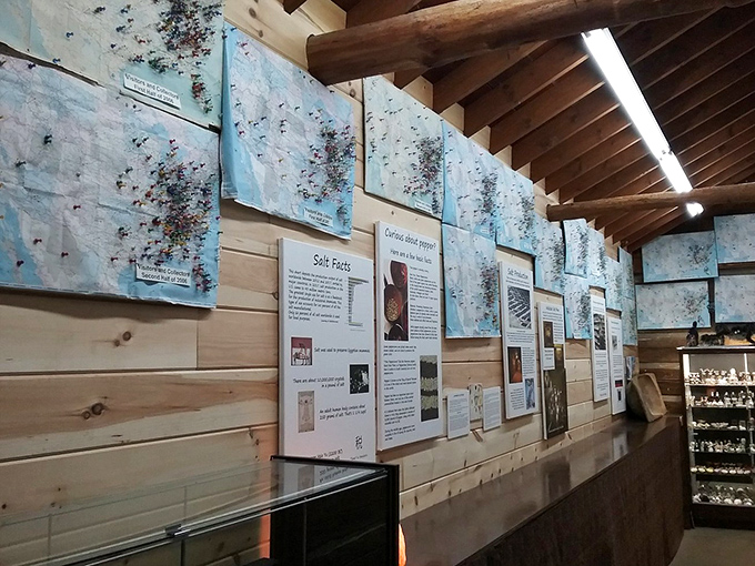 The museum doesn't just display—it educates! Wall panels reveal fascinating salt facts that'll make you the hit of your next dinner party.