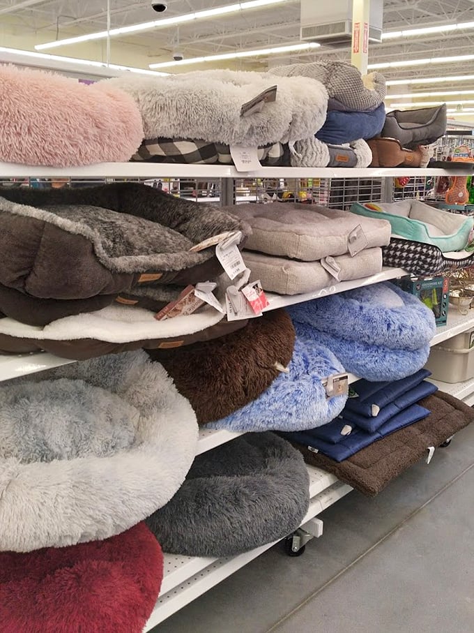 Pet beds in every color and texture imaginable – because Fido deserves luxury too, just not at luxury prices.