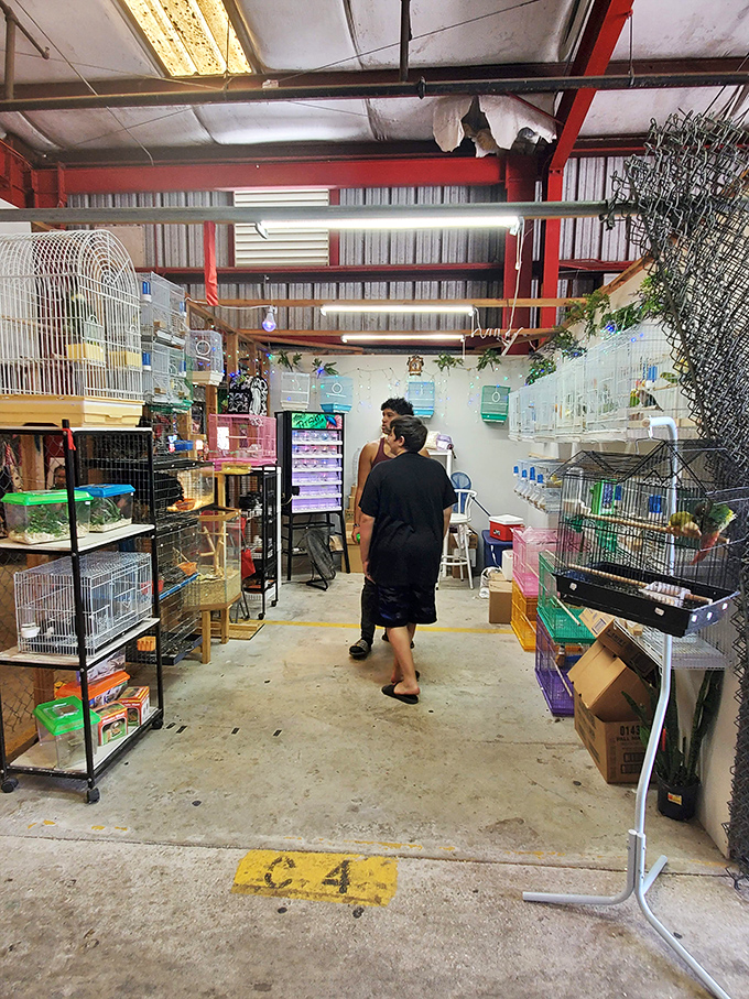 Bird cages and pet supplies line this specialized vendor's space. One person's "just looking" often turns into "I guess we have a parakeet now."