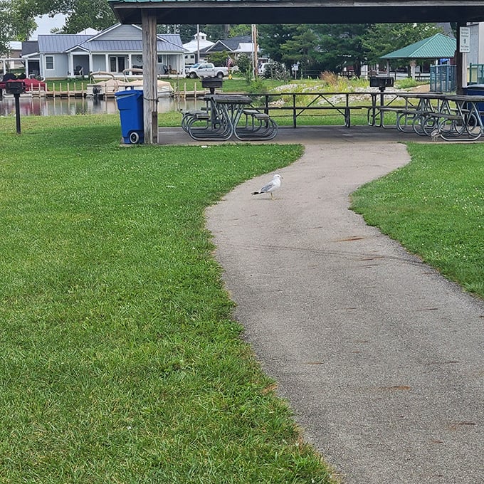 The path less traveled, but only because that seagull is standing guard. Beyond lies picnic paradise for those brave enough to negotiate passage.