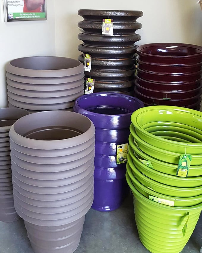 Garden dreams start here with these vibrant planters. From apartment balconies to sprawling backyards, there's a pot for every plant parent.