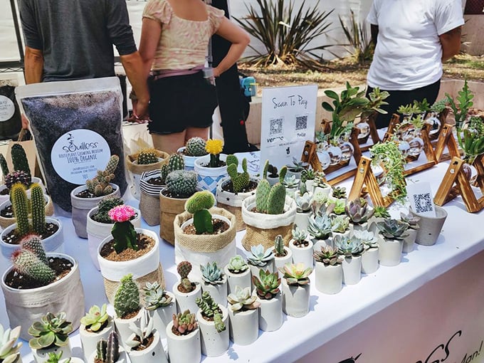 Tiny succulents and cacti stand at attention in their minimalist pots – desert-friendly souvenirs that even serial plant-killers might keep alive.