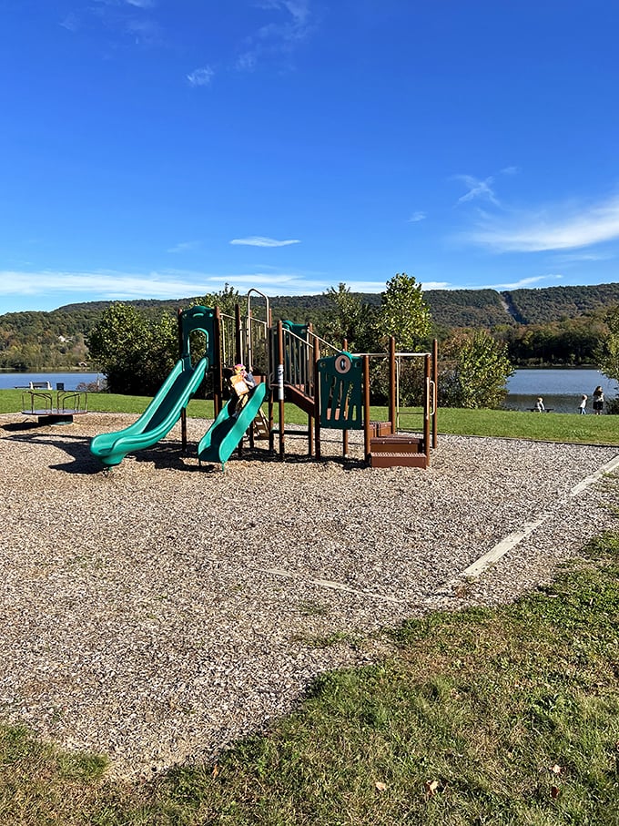 Childhood joy doesn't need Wi-Fi—just slides, sunshine, and the sound of laughter echoing across the lake on a perfect Pennsylvania afternoon.