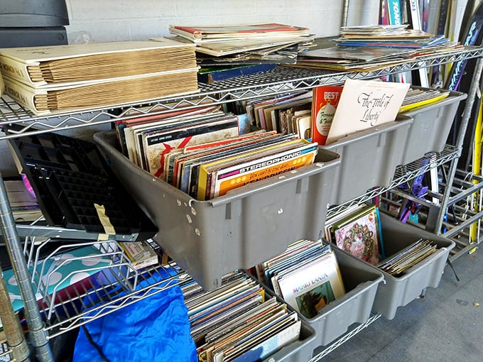 Vinyl treasures and forgotten albums waiting for their comeback tour in someone's living room. Musical archaeology at its finest!
