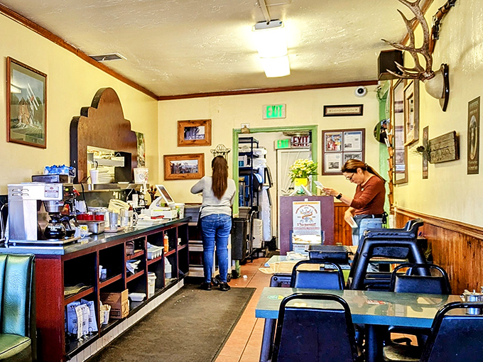 Where the magic happens—part kitchen, part stage. That deer mount has witnessed thousands of breakfast epiphanies.