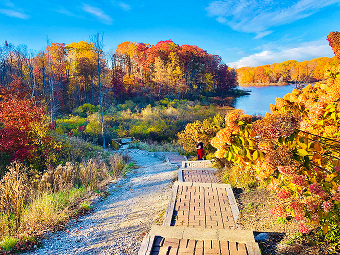 Fall's paintbrush transforms Punderson into a masterpiece of color. This boardwalk leads to views that no Instagram filter could improve.