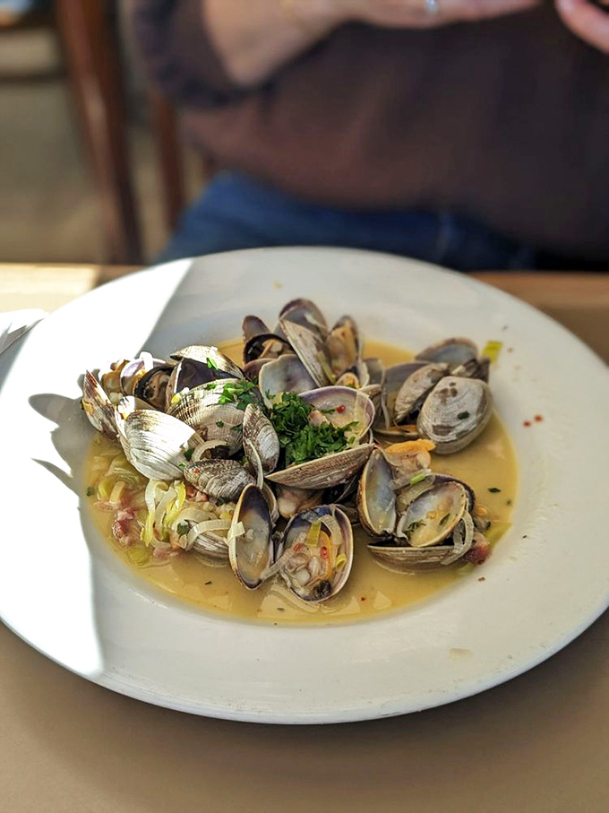 These steamed clams swimming in broth aren't just dinner – they're a treasure hunt where every shell reveals a prize.