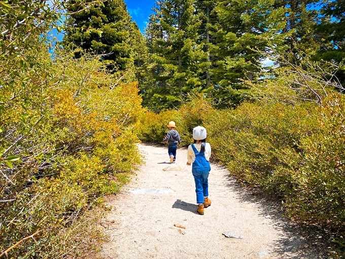The trail ahead promises adventure without requiring you to train like you're climbing Everest – democracy in action.