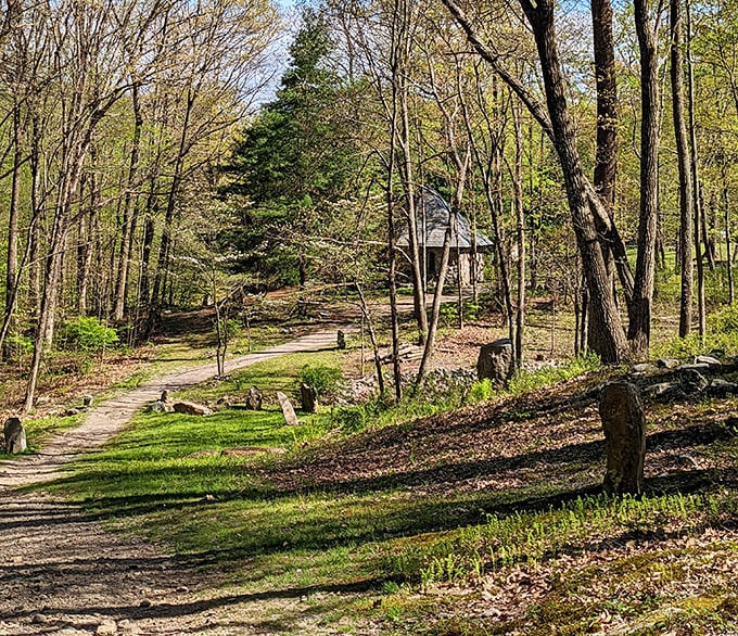 The path less traveled leads to unexpected wonders. Columcille's trails meander through woodland settings where standing stones play hide-and-seek among the trees.