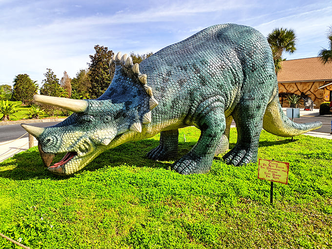 The Triceratops stands guard on a perfect lawn, looking like it's waiting for someone to toss a prehistoric-sized frisbee its way.