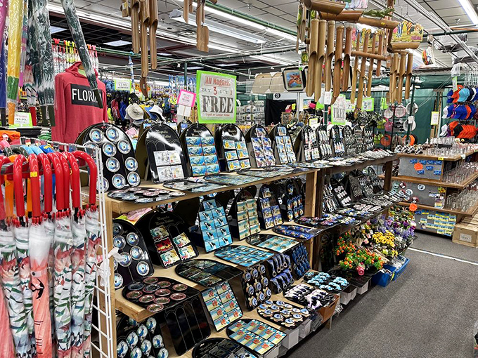 Florida souvenirs that actually tell the truth—magnets and mementos that capture the sunshine state's quirky charm without the theme park markup.
