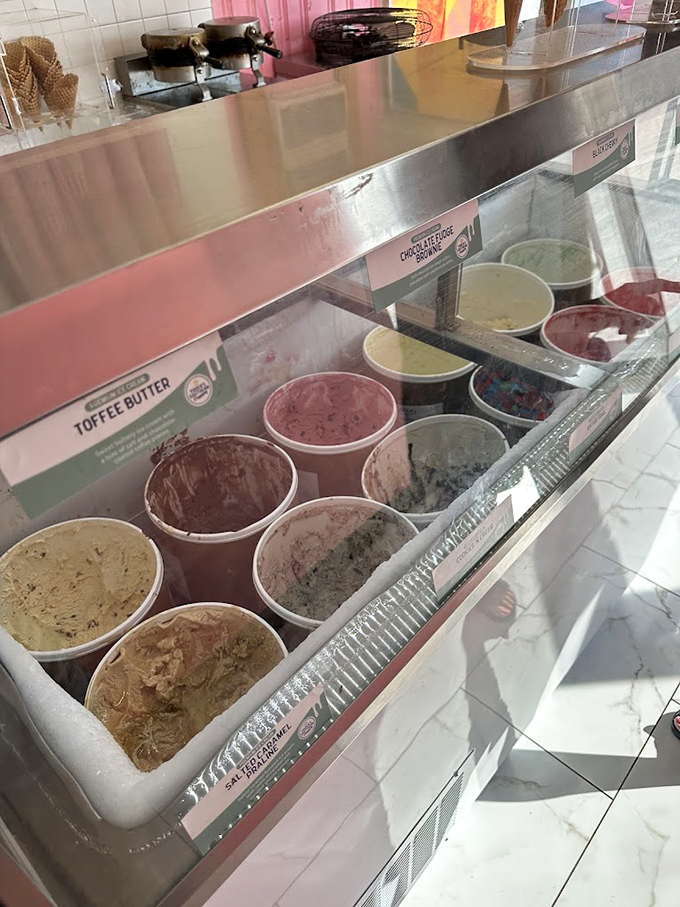 Gazing into this display case is like looking at Florida's version of the Sistine Chapel—each flavor a masterpiece, from toffee butter to chocolate chunk.