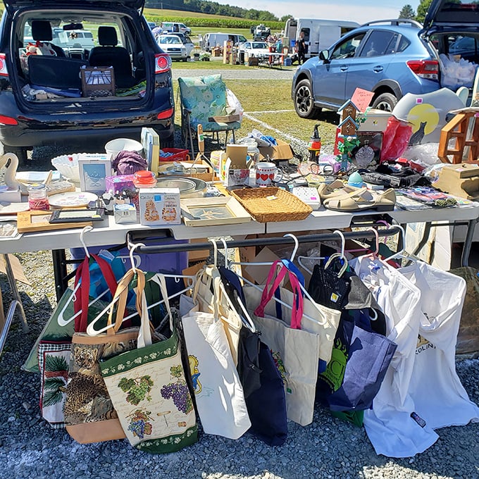 The universal language of "stuff"—where everyday objects transform into must-have treasures under the Pennsylvania sun.