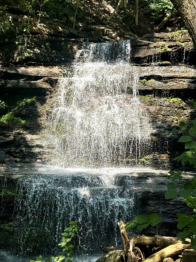 Nature's own roadside attraction. This waterfall doesn't need billboards or gift shops to take your breath away.