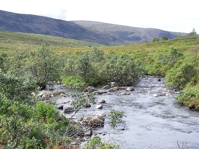 Flowing water and mountain views create a peaceful setting in Webster, perfect for enjoying nature’s beauty and relaxing outdoors.