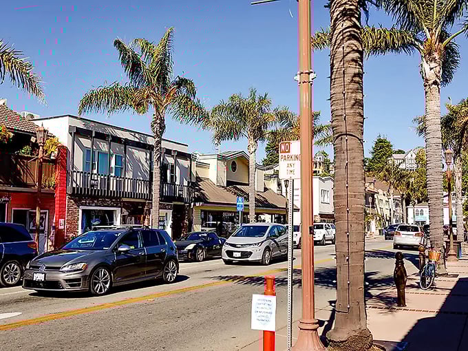 Palm trees and colorful shops create Capitola's vacation vibe. This little slice of paradise makes everyday feel like Saturday.
