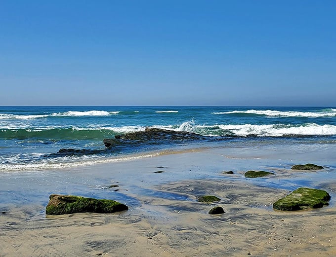 Pristine sands stretch toward the horizon at Del Mar. Your dog might not appreciate the view, but their wagging tail says everything.