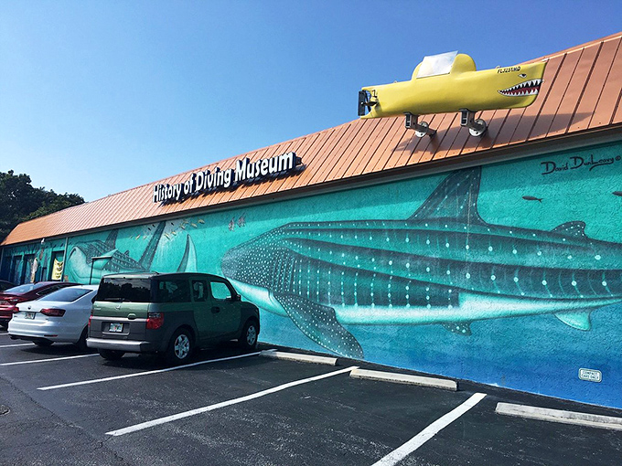 The History of Diving Museum celebrates underwater adventures with whale shark murals that make parking lots feel like ocean floors.