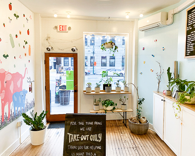 Plants and pastels create a sanctuary for sweet-seekers. This isn't just an ice cream shop; it's a retreat from everyday life. 